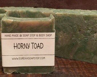 Horny toad | Etsy
