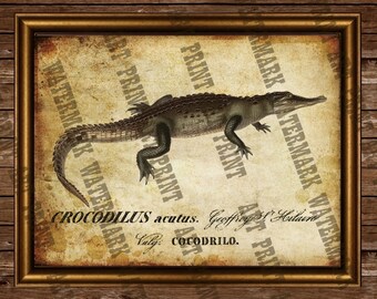 Crocodile print | Etsy