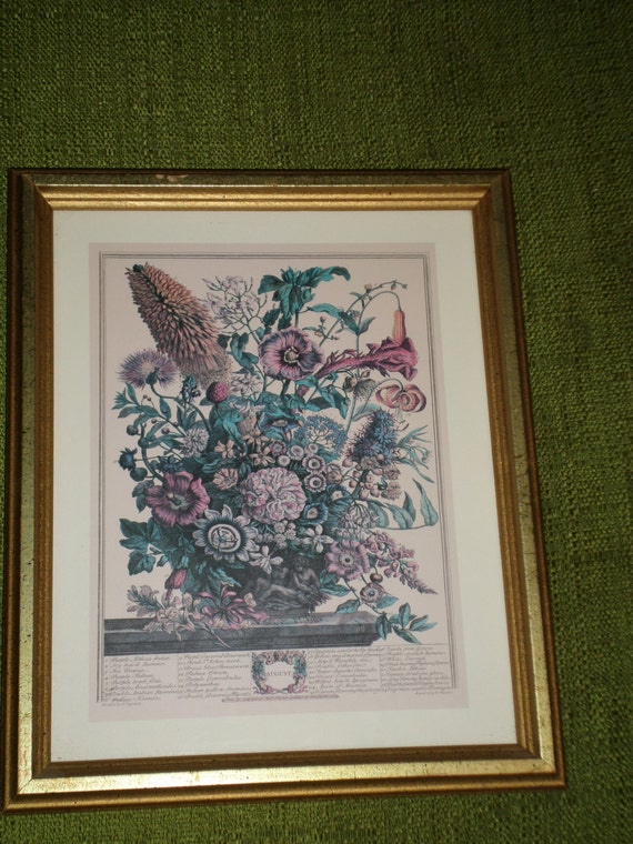 Floral Bouquet botanical print Robert Furber 12 months of