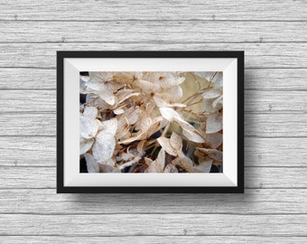 Rustic art print | Etsy