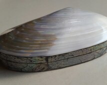 Popular items for shell jewelry box on Etsy
