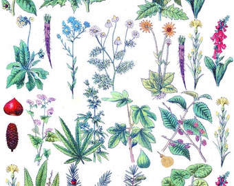 Wildflower decal | Etsy