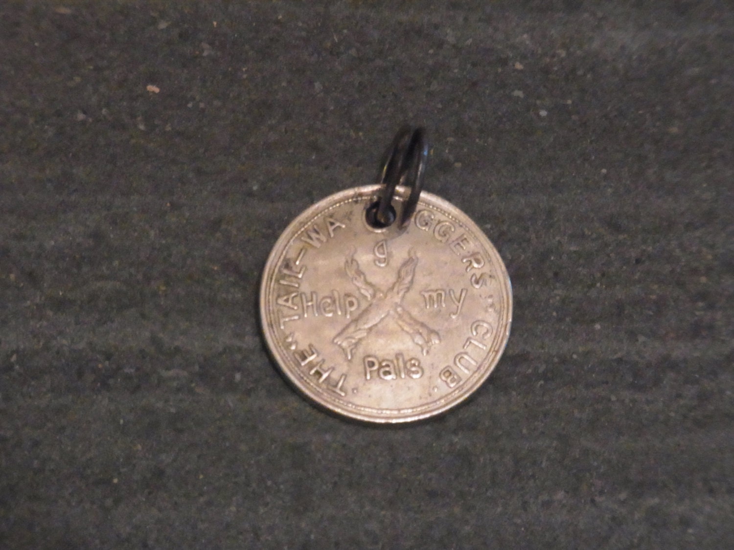 Antique medallion the Tail Waggers Club London Antique medallion the Tail Waggers Club London