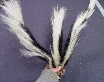 Skunk tail | Etsy