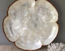 Unique capiz shells related items | Etsy