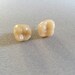 Human Tooth Stud Earrings by PurgatoryPlaything on Etsy