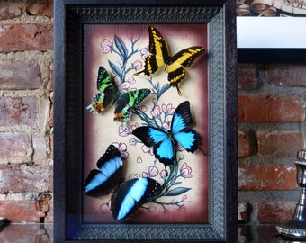 Butterfly shadow box | Etsy
