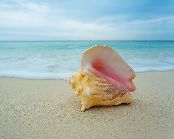 Items similar to Conch Republic - Key West Fine Art Photography ...