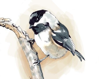 Chickadee drawing | Etsy