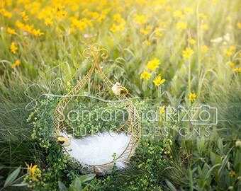 Bird backdrop | Etsy