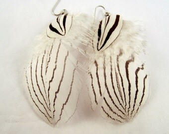 Zebra feathers | Etsy