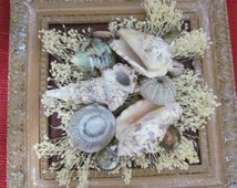 Unique shell arrangements related items | Etsy