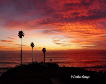 Palm tree sunset | Etsy