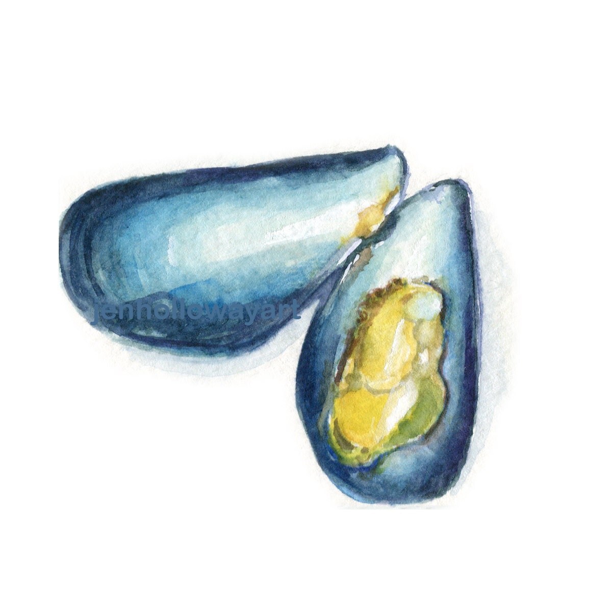 Watercolor Mussel Shell Print Shell Art Blue Shell Print