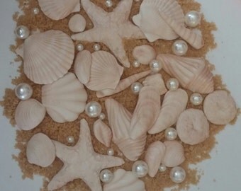 12 Edible SEASHELLS 2 or less and various shapes / gum