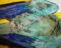 Unique european mount related items | Etsy