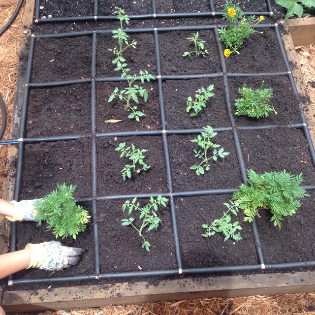 Cedar Raised Bed Garden Garden Grid™ by GardenInMinutes on Etsy