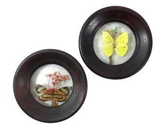 Unique round shadow box related items | Etsy