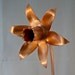Copper daffodil metal spring flower