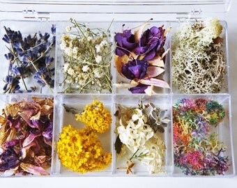 Dried flowers | Etsy