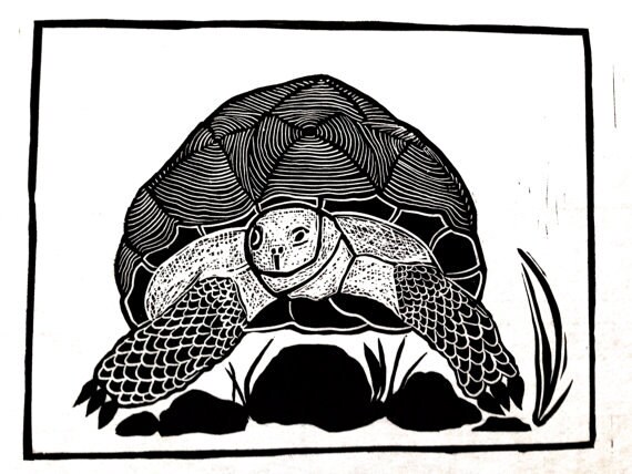 Russian Tortoise Linocut Animals Print by ArtistKateSnow on Etsy