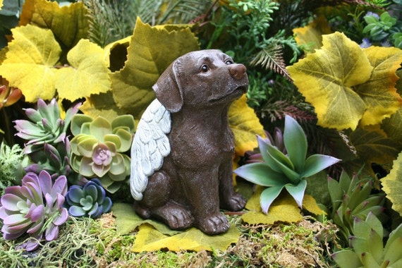 Chocolate Lab Dog Angel Chocolate Labrador Retriever