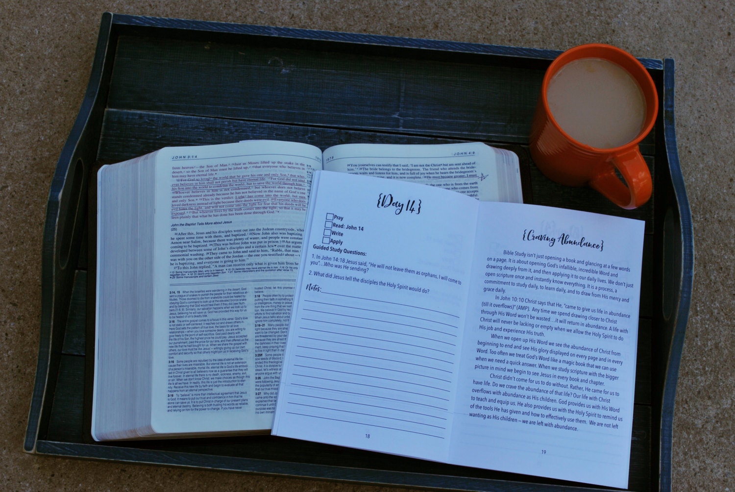 Craving More Devotion Booklet Bible Study