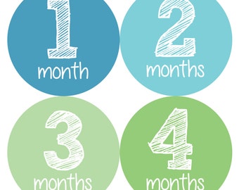 PRINTABLE Baby Monthly Stickers.Floral Baby Stickers. Baby