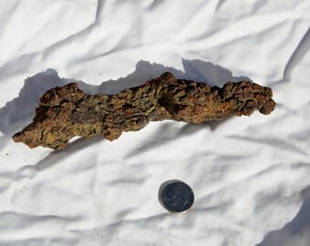 Dinosaur poop | Etsy