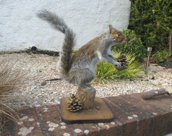 Wood squirrel | Etsy