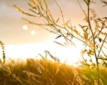 Unique prairie sunset related items | Etsy