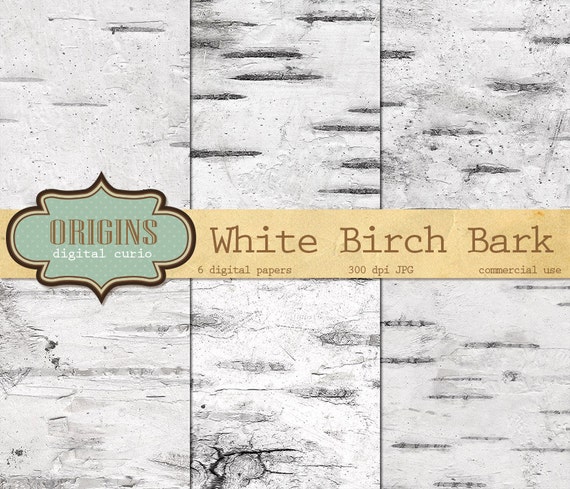 White Birch Bark Digital Paper Birch Tree by OriginsDigitalCurio