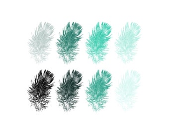 Feather clip art | Etsy