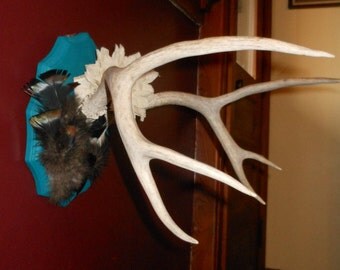 Unique european mount related items | Etsy