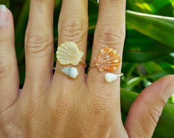 Unique sunrise shell related items | Etsy