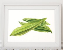 Unique luffa related items | Etsy