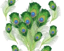 Unique peacock clipart related items | Etsy