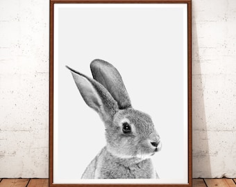 Poster konijn | Etsy