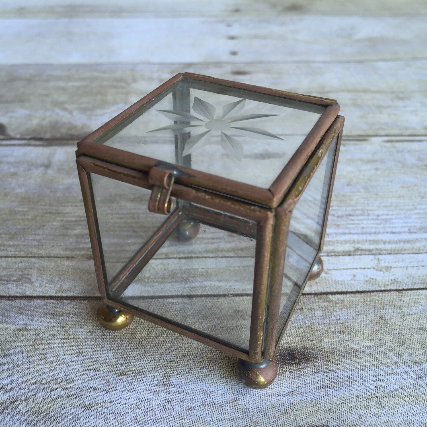 Vintage Glass Trinket Box Terrarium Shadow Box – Extra Small – Haute Juice
