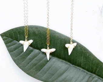 Shark tooth choker | Etsy