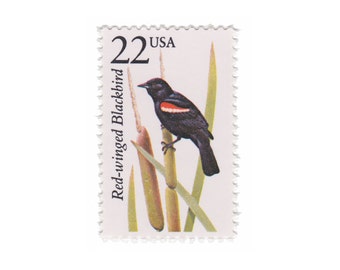 Redwing blackbird | Etsy