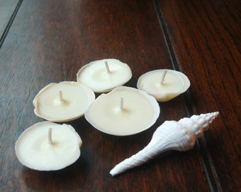 Shells candle holder | Etsy