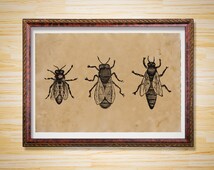 Unique bee poster related items | Etsy