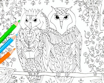 Owl coloring | Etsy