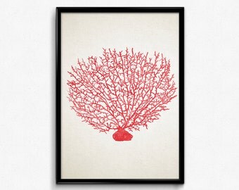 Red coral prints | Etsy