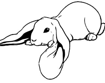 Items similar to Lop Family-French, English, Holland, Mini, and ...