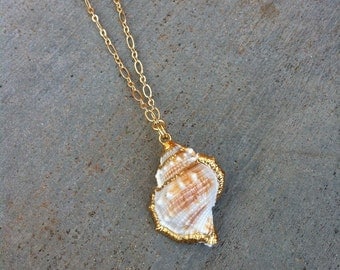 Seashell necklace | Etsy