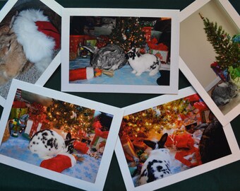 Bunny christmas card | Etsy