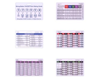 Complete Nurse Horizontal Badge Card Set 13 Cards for ID