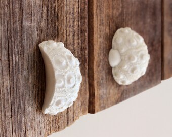Shell knob | Etsy